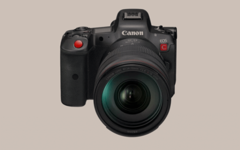Which Cameras Have the Best Autofocus? | Artlist