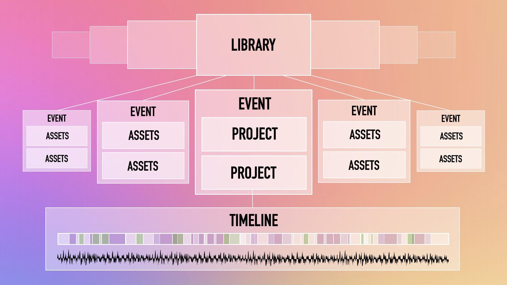 FCPX Basics: How to Import Video to Final Cut Pro | Artlist