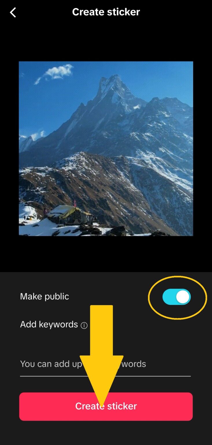 How to Add TikTok Stickers to Your Video | Artlist